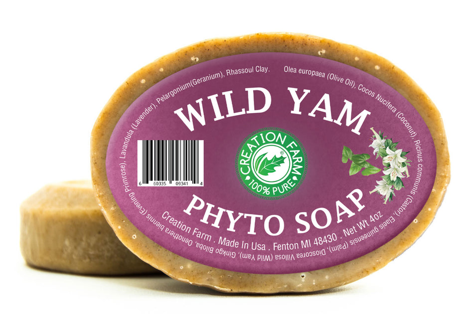 Wild Yam & Ginkgo Phyto Soap - Two 4 oz Bar Pack by SkinCare Guardian ...
